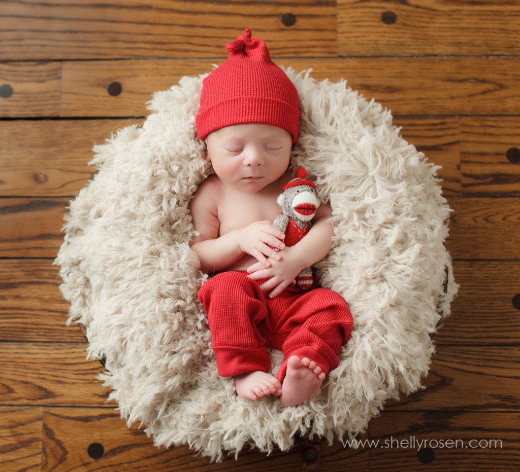 Shelly Rosen Photography