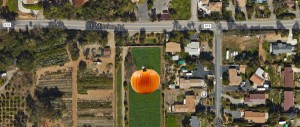 2015 North County Pumpkin Patches | Complete Guide
