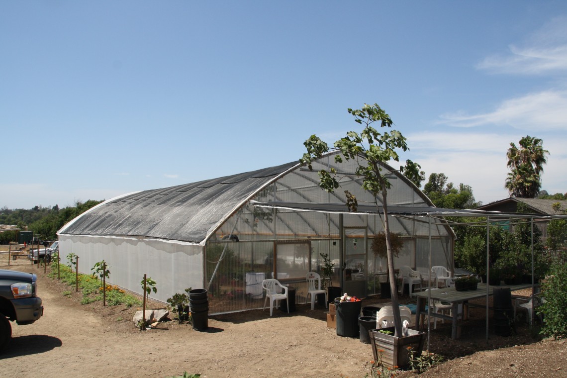 Butterfly Farms