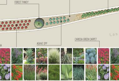 Cerro De Las Posas Park | Pool & Sports Fields | San Marcos